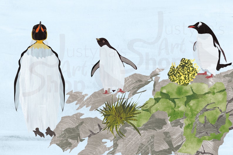 Penguins Clipart Set, Realistic Illustrations of Cold Antarctica ...