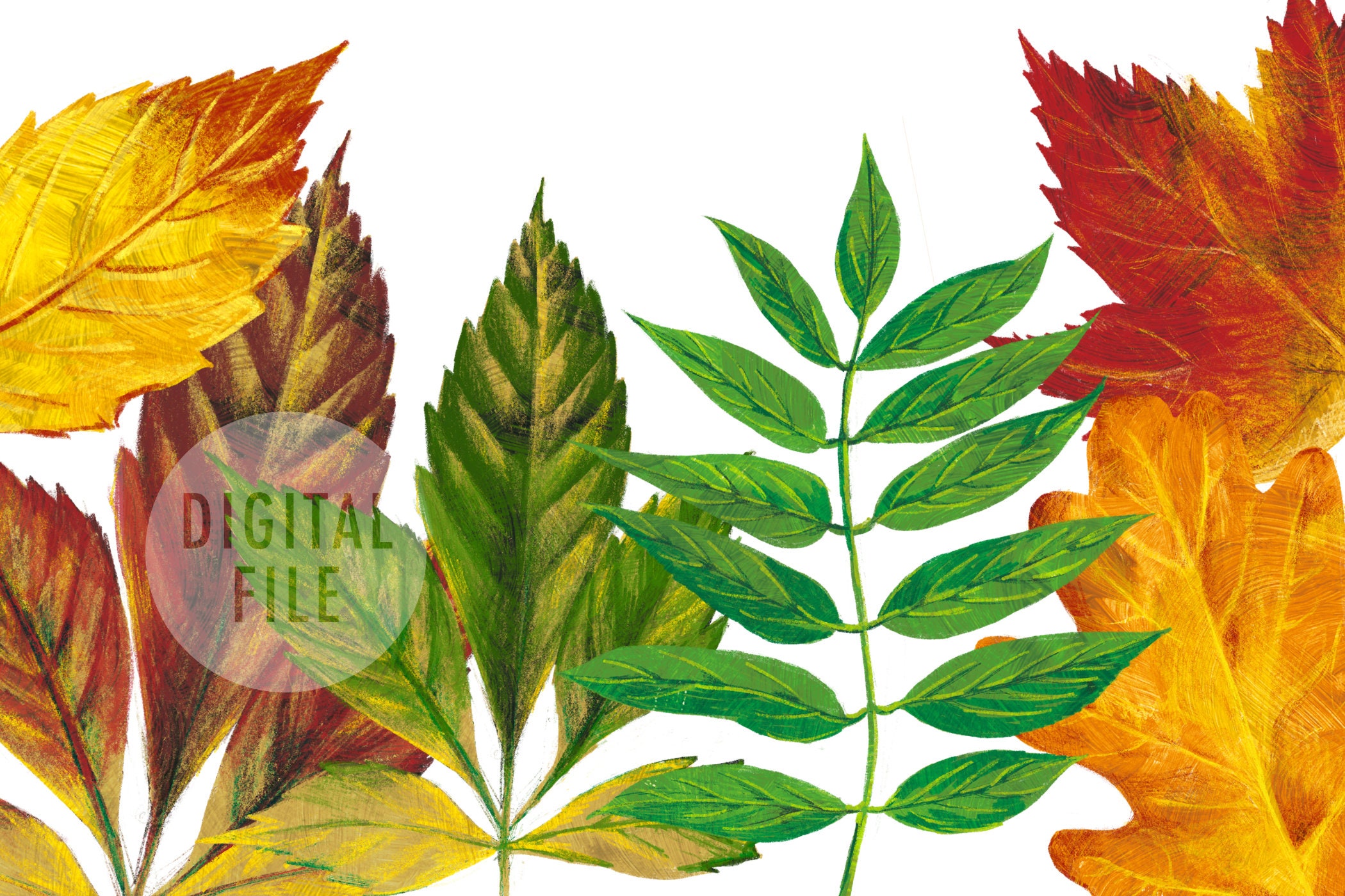 Fall Leaves Clipart, Autumn Leaves Clipart, Autumn Decor, Woodland ...