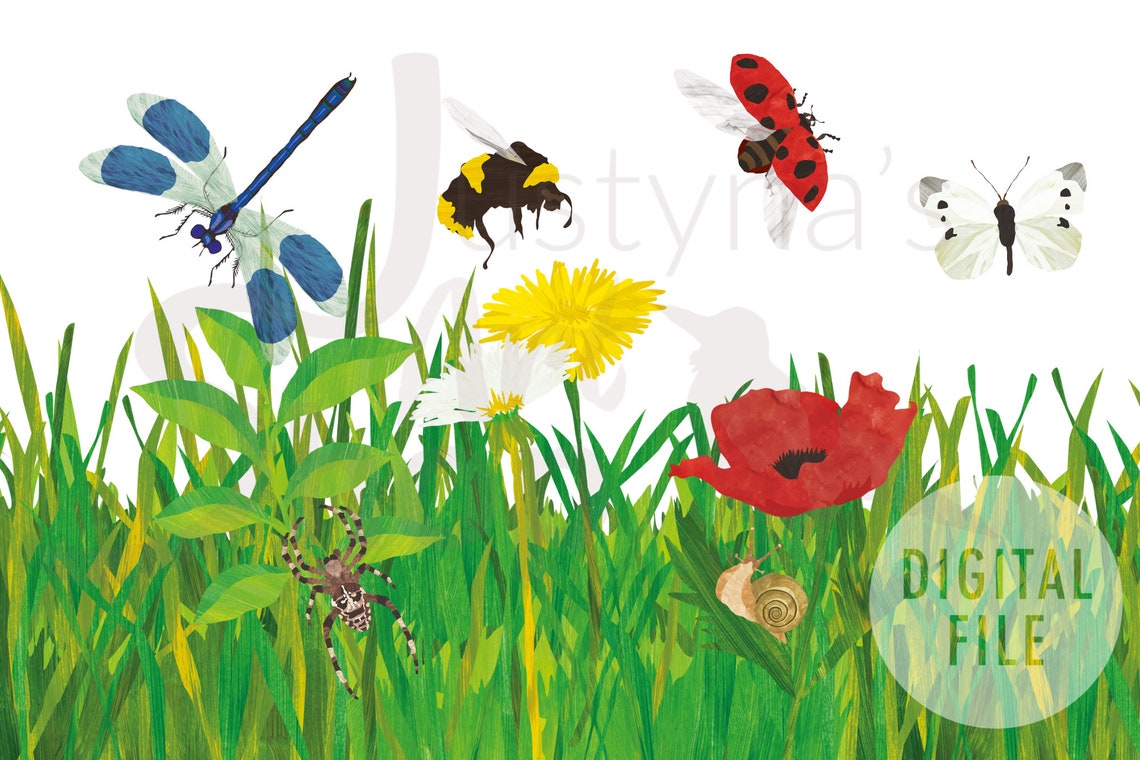Insects and Bugs Clipart Set, Cute Spring Digital Images, Meadow and ...