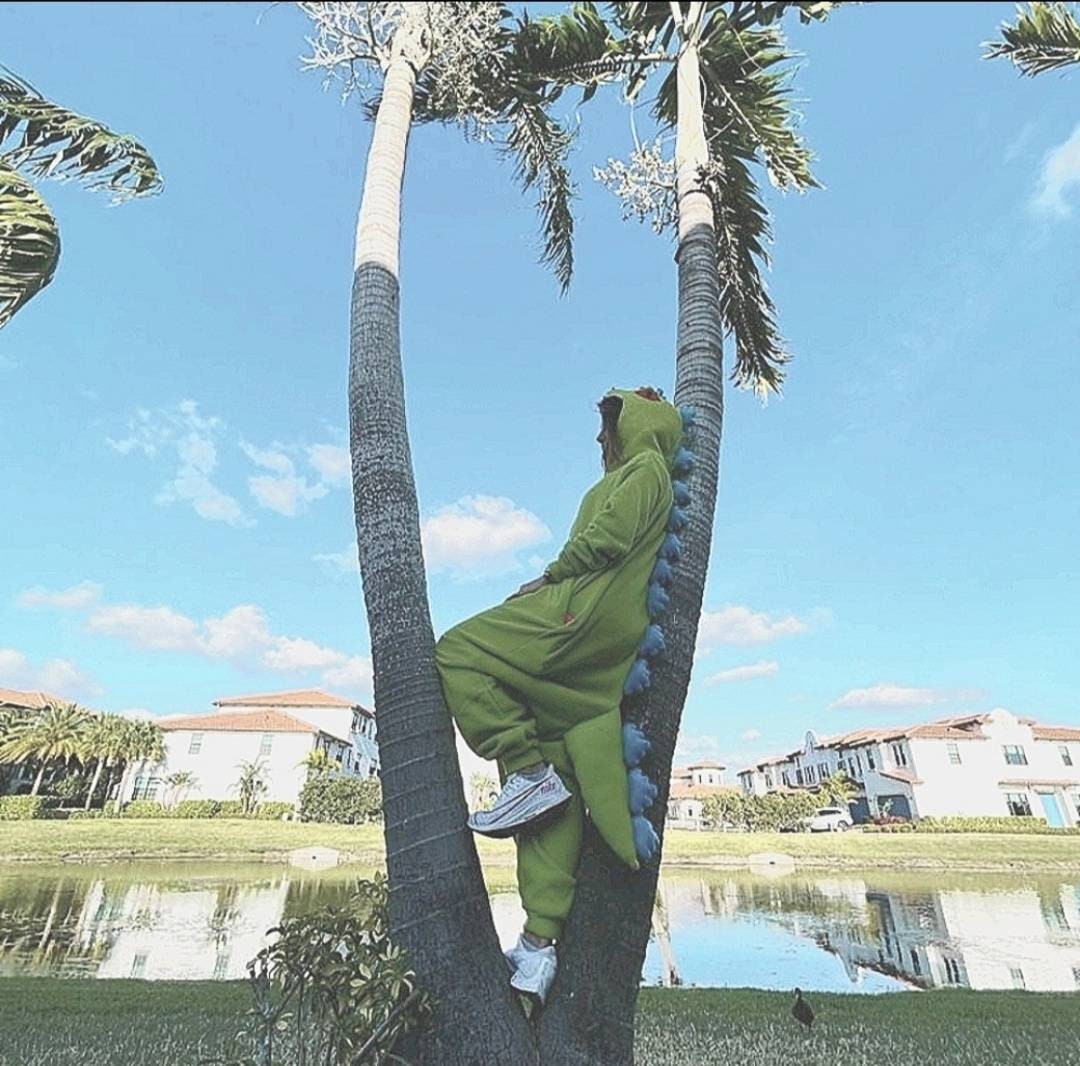 Kigurumi Reptar Onesie Costume Pajama Adult Halloween 2021 - Etsy UK