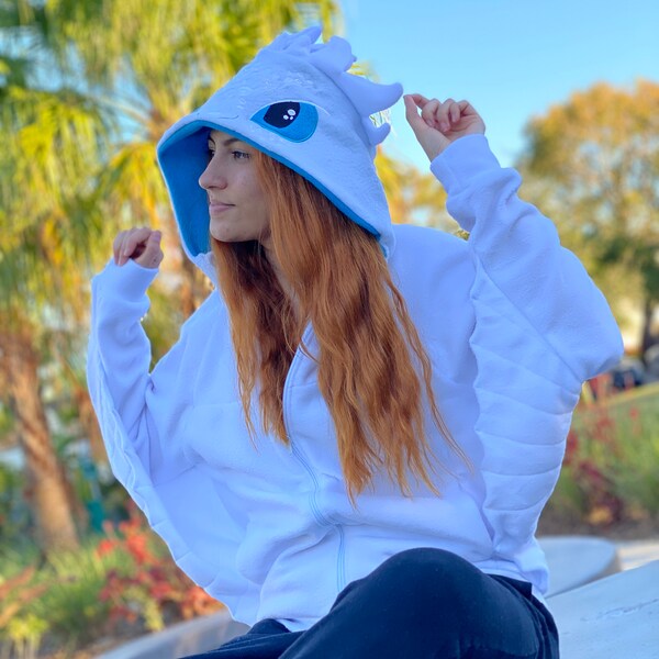 Toothless and Light Fury Costume - Etsy