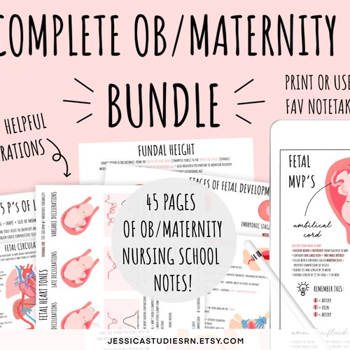 OB/MATERNITY BUNDLE Digital Nursing School Study Guides/notes - Etsy