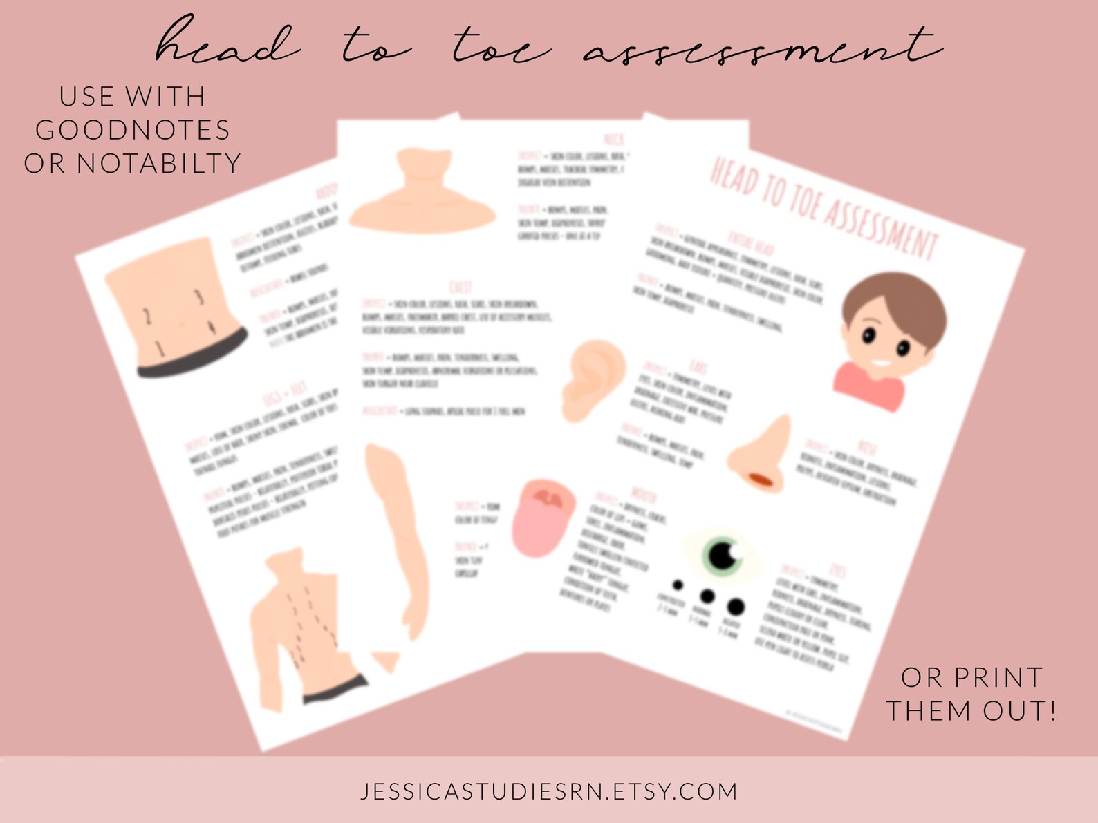 Head to Toe PHYSICAL ASSESSMENT Study Guide Diagram Sheets ...