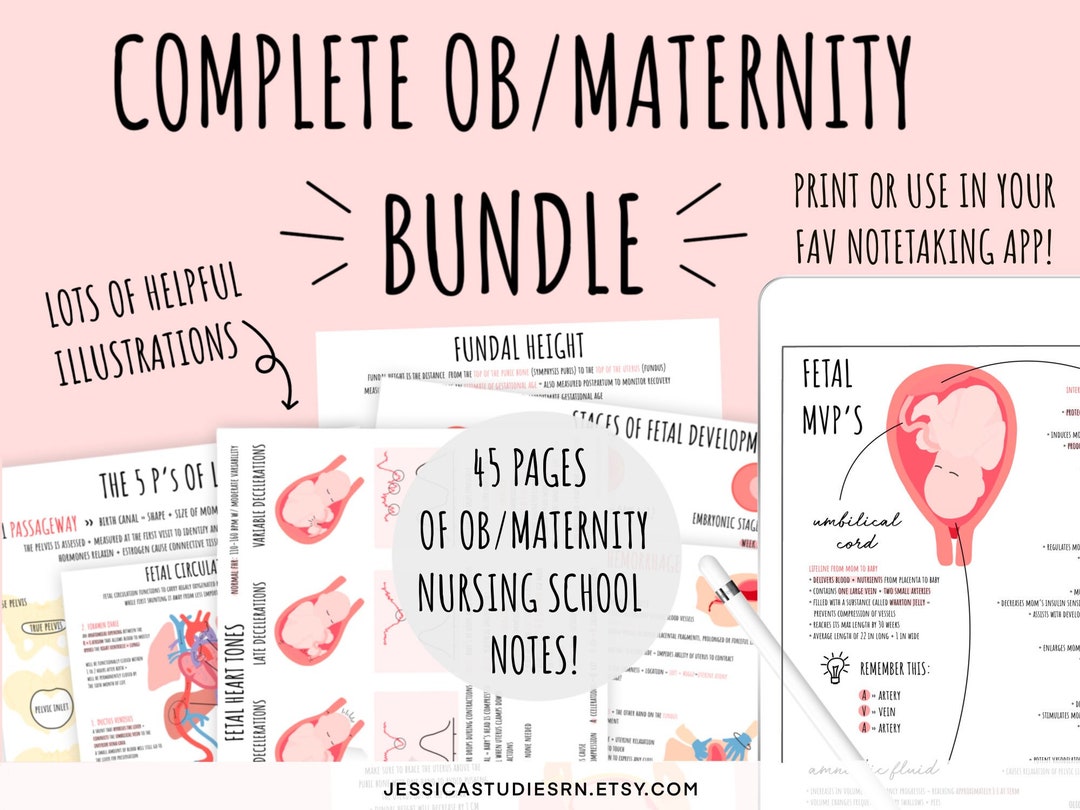 OB/MATERNITY BUNDLE Digital Nursing School Study Guides/notes ...