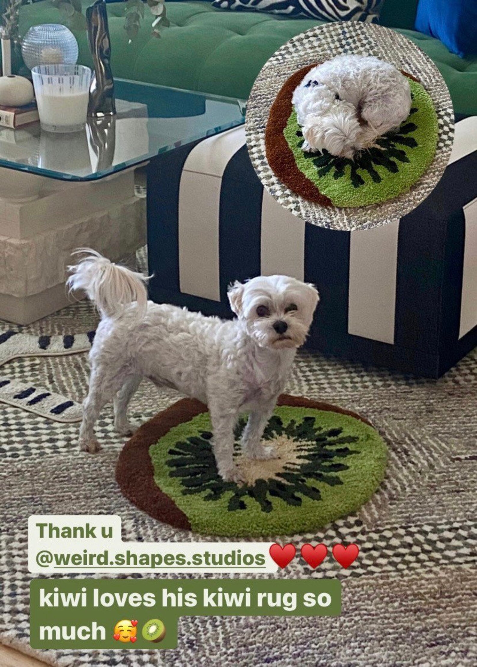 Handmade Kiwi Rug - Etsy