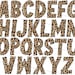 Leopard Doodle Font Bundle PNG, Hand Drawn Cheetah Letter Alphabet, Png ...
