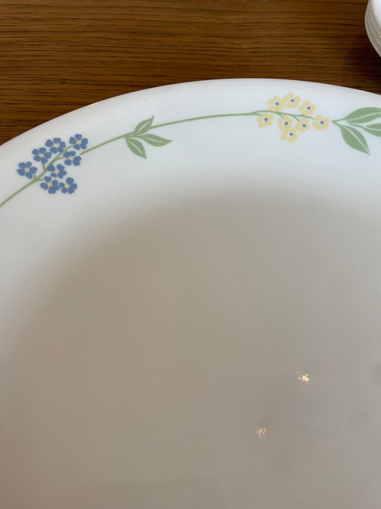 Corelle Vitrelle Secret Garden by Corning-usa - Etsy
