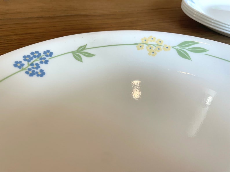 Corelle Vitrelle Secret Garden by Corning-usa - Etsy