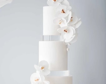 Acrylic Cake Separator - Etsy