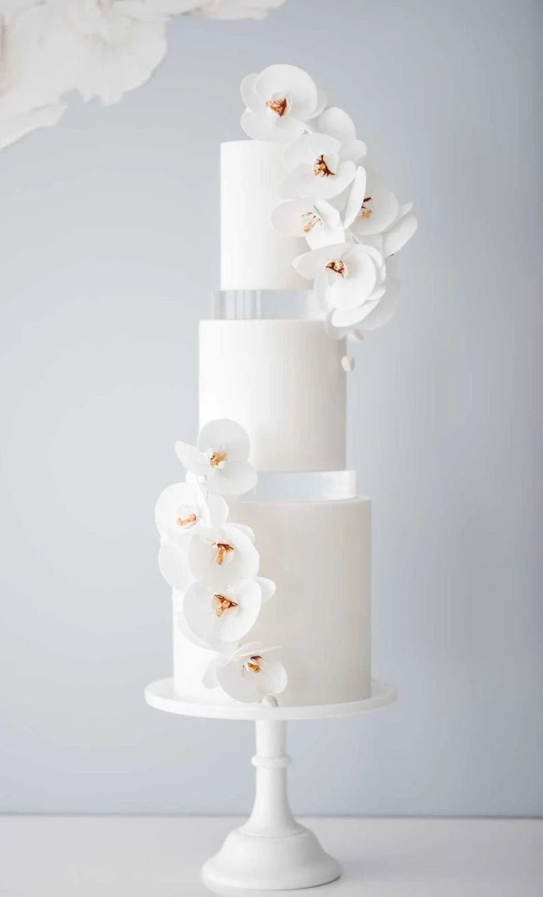 ROUND 30mm Ultra Polished Acrylic Cake Separator - Transparent Cake ...