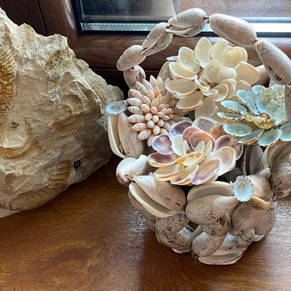 Shell Arrangements - Etsy
