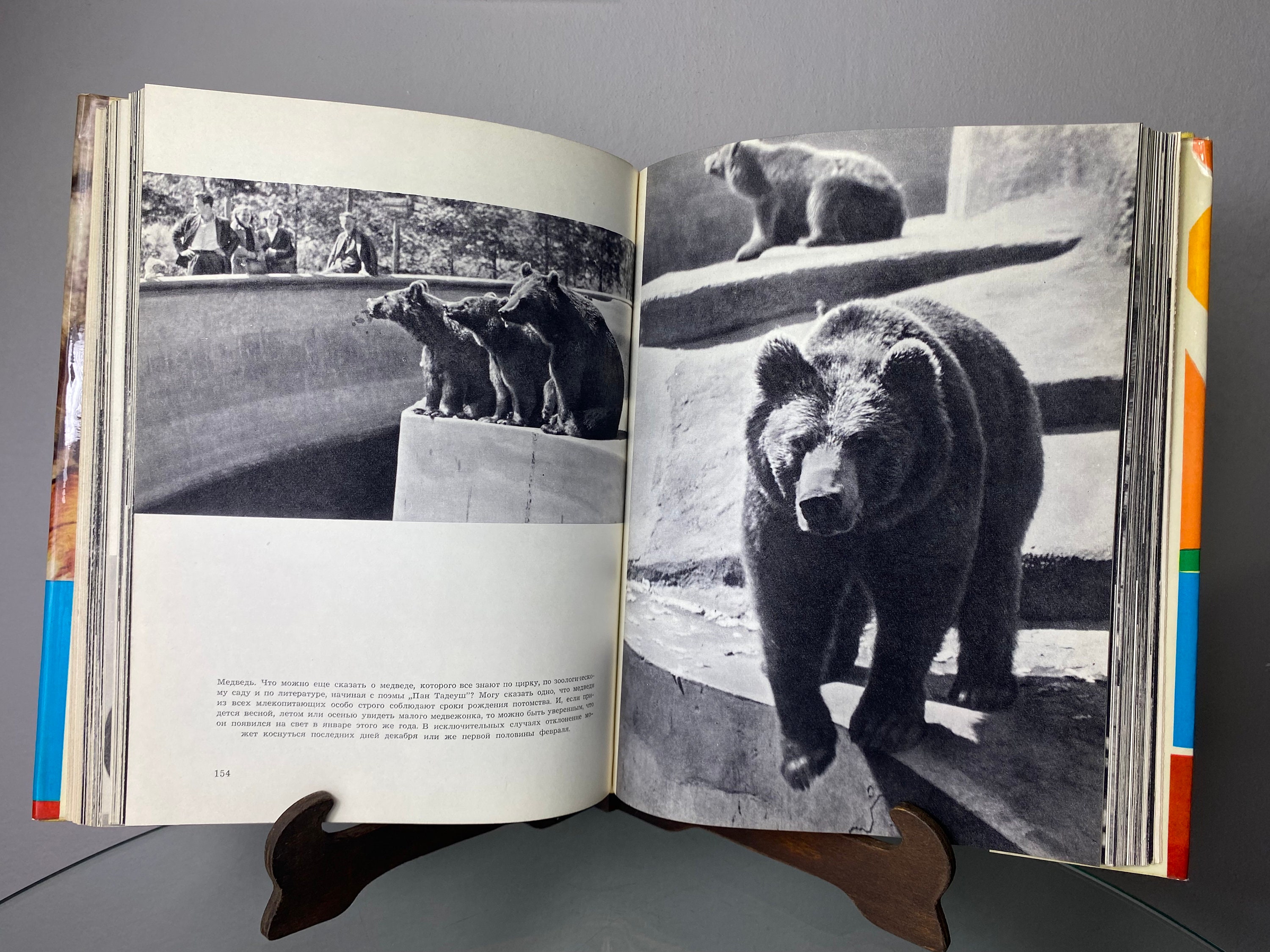 USSR Soviet Photo-album Large Book Vintage animals Near and Far Jan ...
