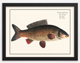 Vintage Fish Wall Art - Etsy