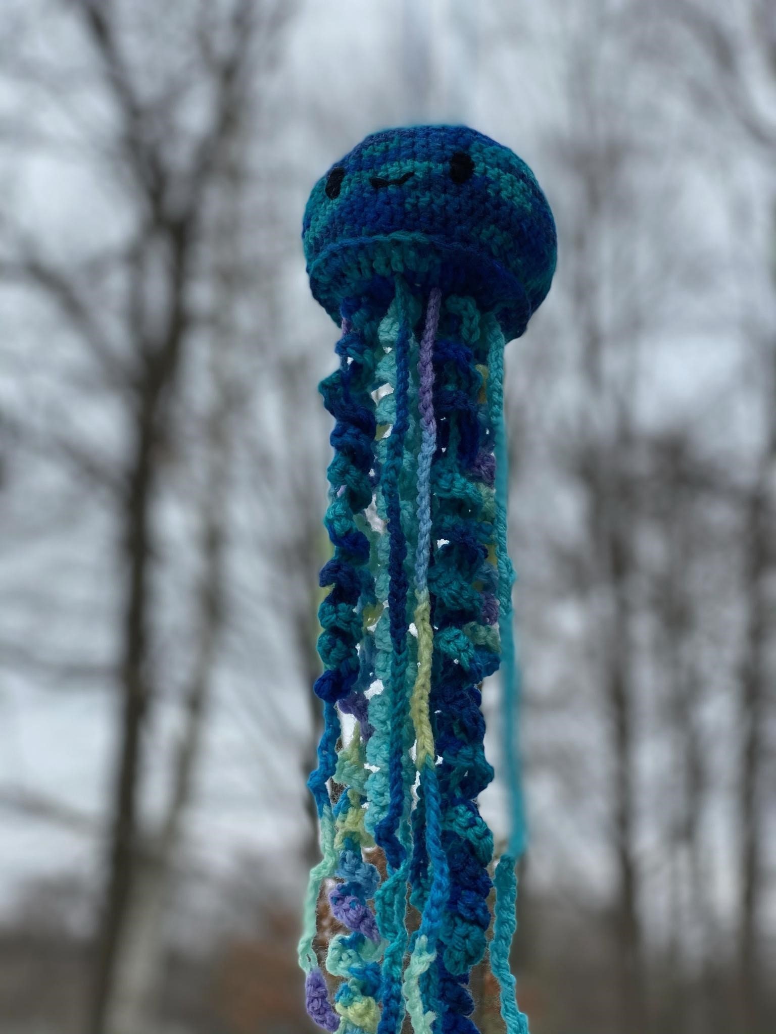 Crochet Blueberry Jellyfish - Fundraiser- Ocean Cleanup - Etsy