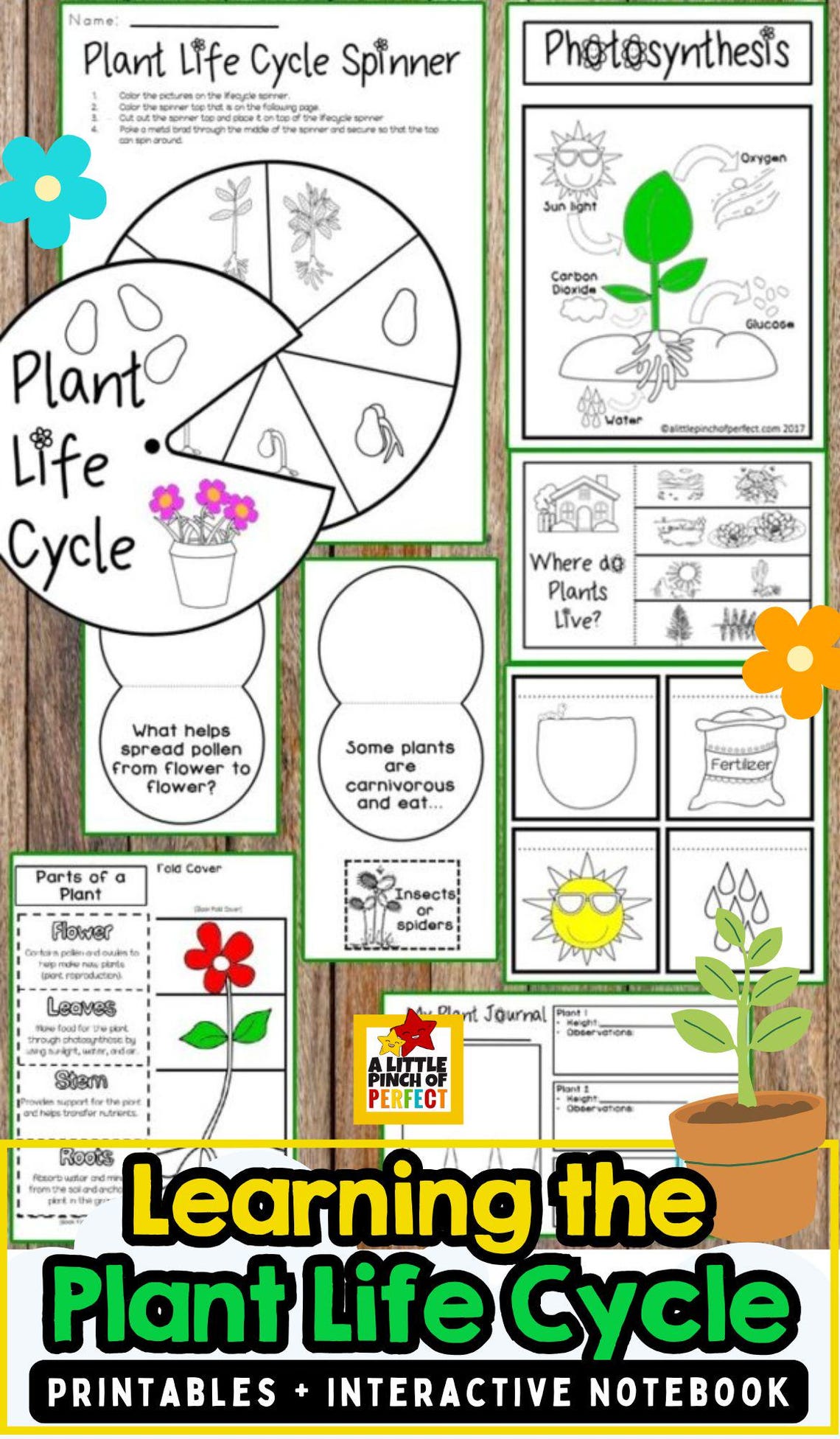 Plant Life Cycle & Photosynthesis Printable Pack | Science Activities ...