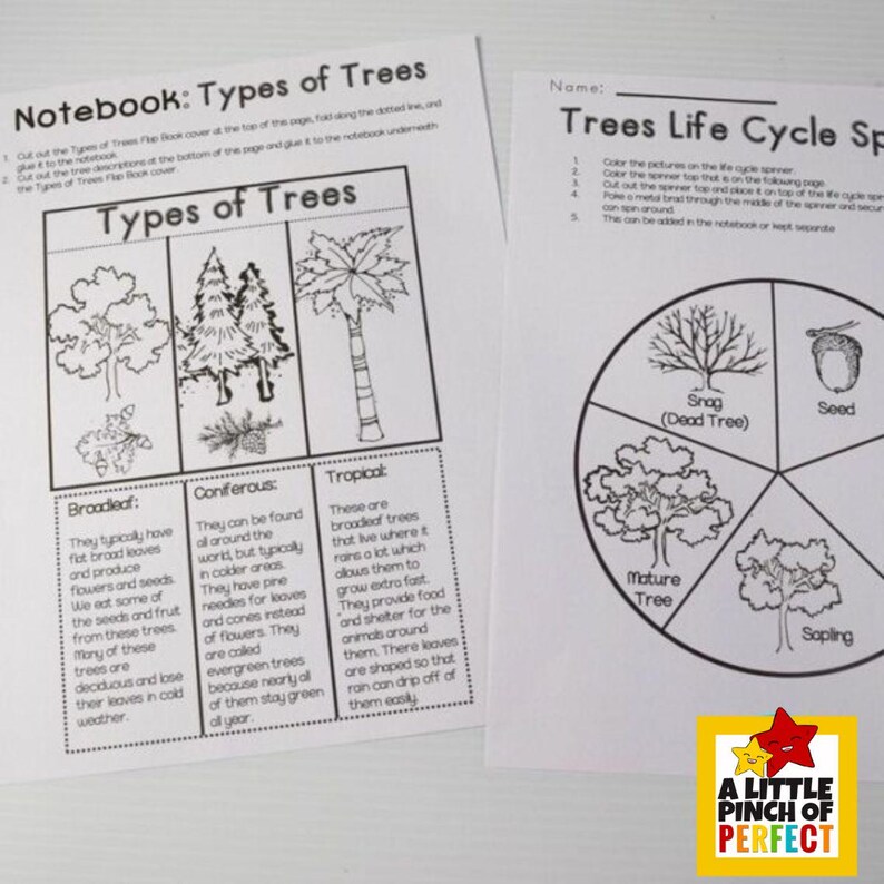 Tree Life Cycle Printable Pack | Science Activities for Kids ...