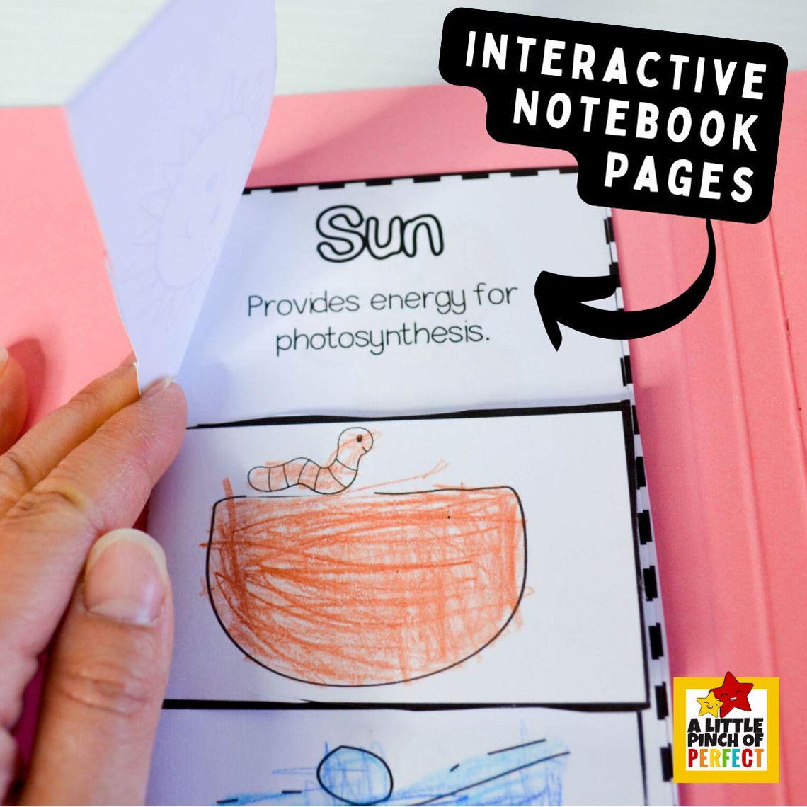 Plant Life Cycle & Photosynthesis Printable Pack | Science Activities ...