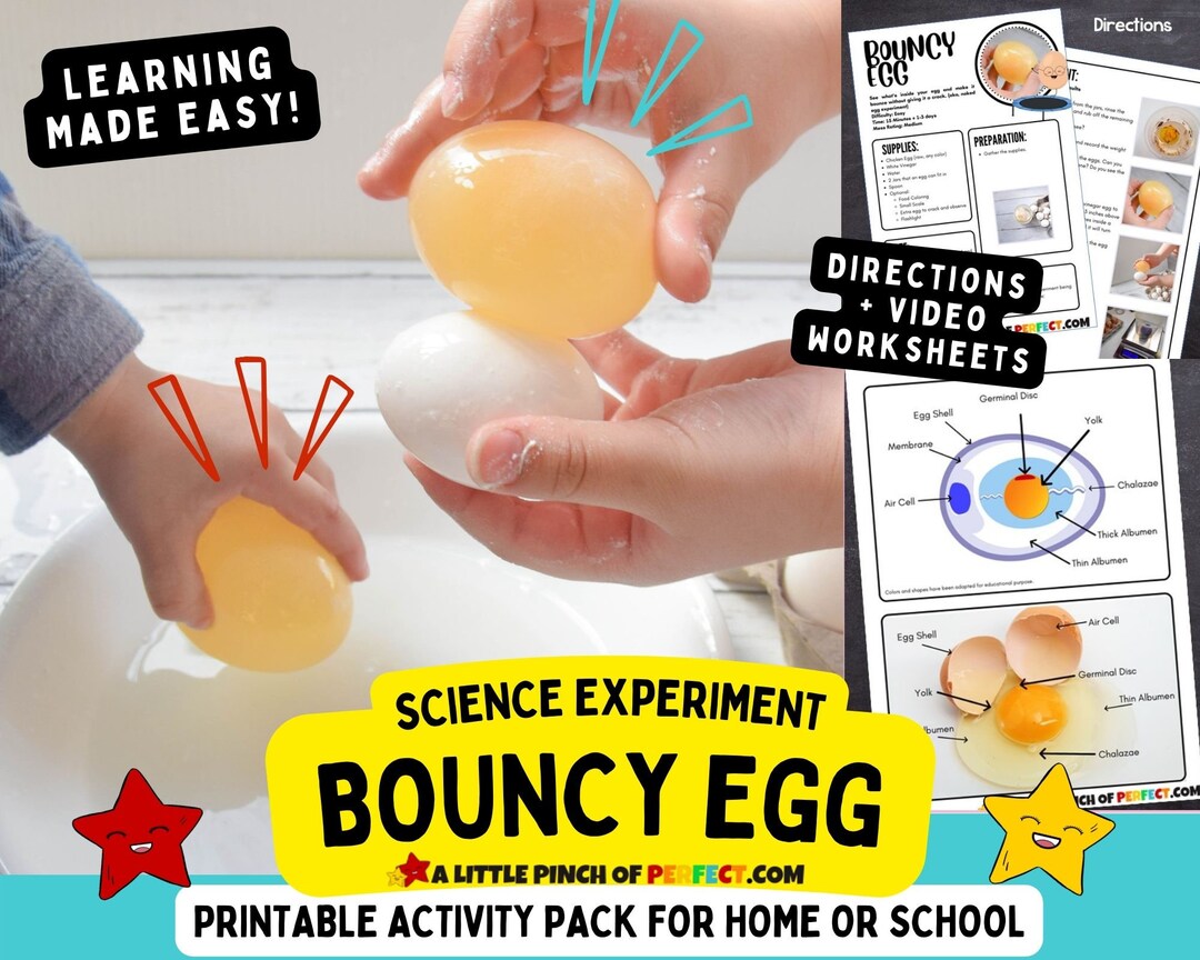 Bouncy Egg Experiment and Science Worksheets Activity Pack - Etsy