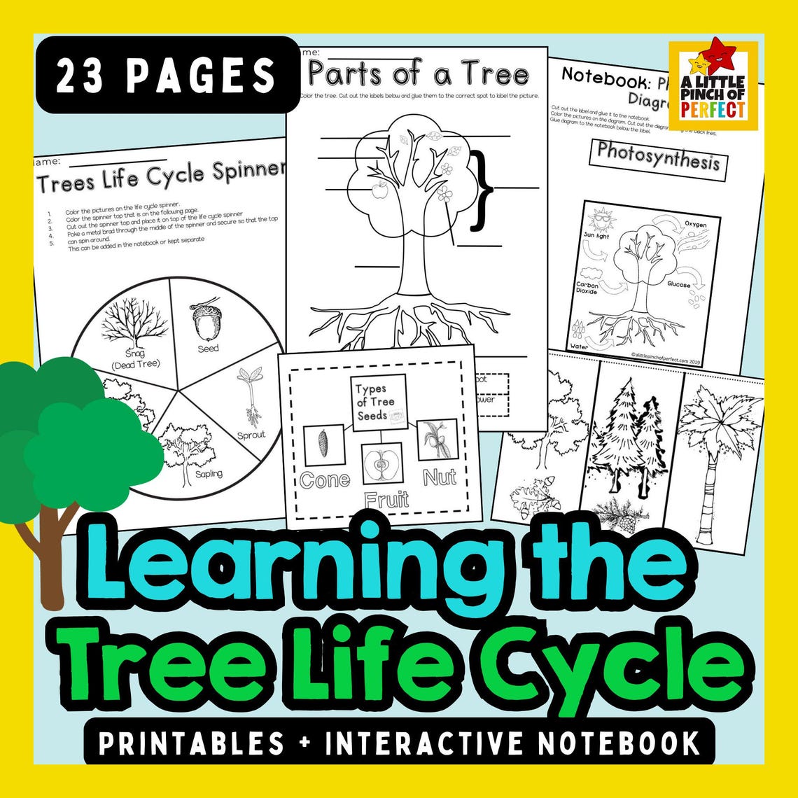 Tree Life Cycle Printable Pack | Science Activities for Kids ...