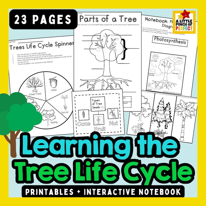 Tree Life Cycle Printable Pack | Science Activities for Kids ...