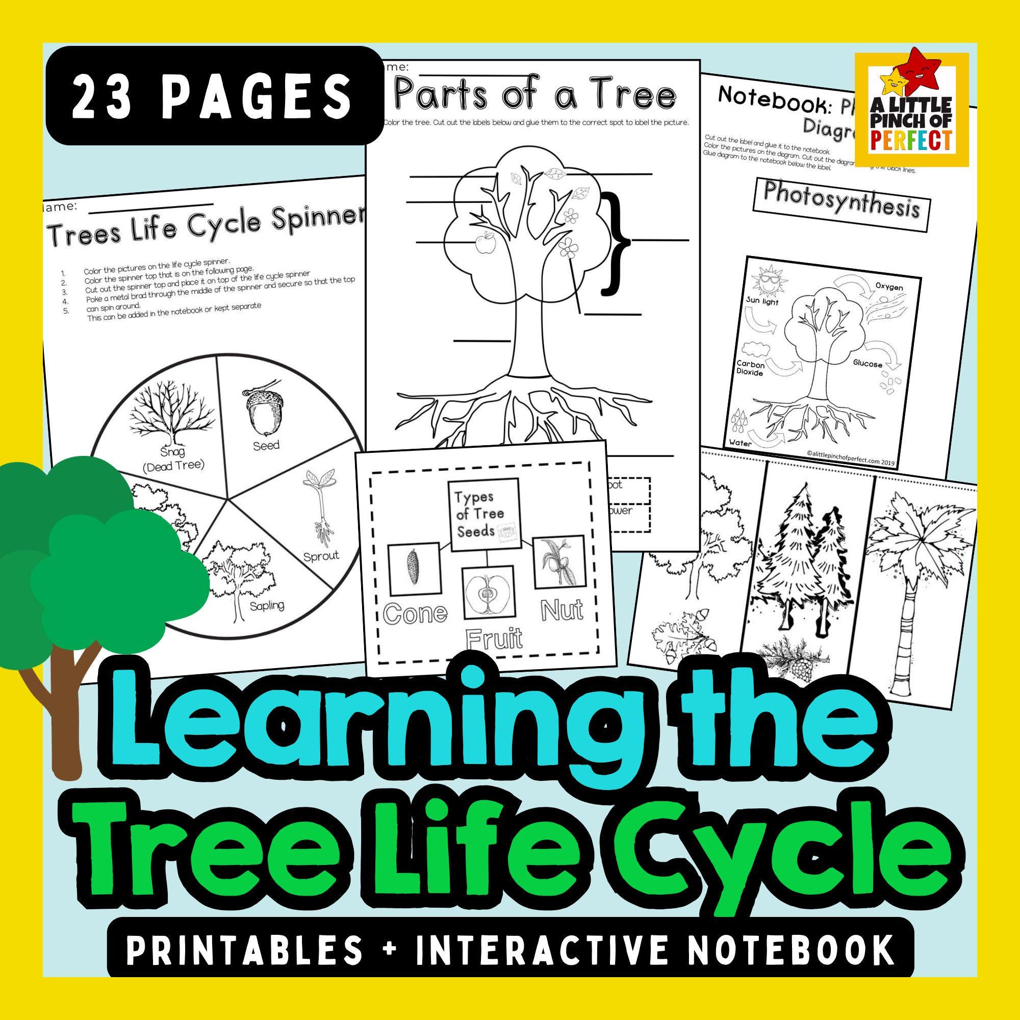 Tree Life Cycle Printable Pack | Science Activities for Kids ...