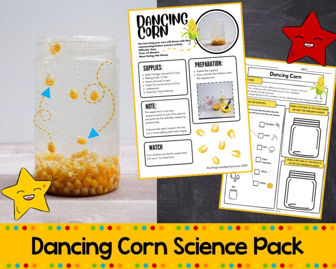Dancing Corn Kids Science Experiment Activity Pack: Printable Do at ...