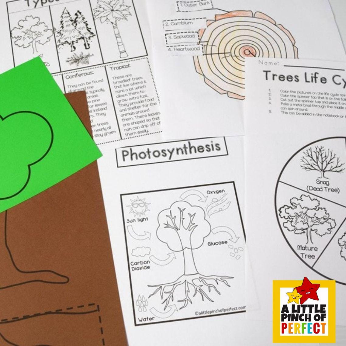 Tree Life Cycle Printable Pack | Science Activities for Kids ...