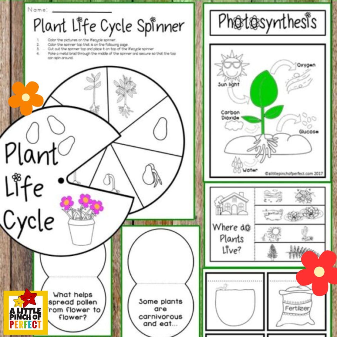 Plant Life Cycle & Photosynthesis Printable Pack | Science Activities ...