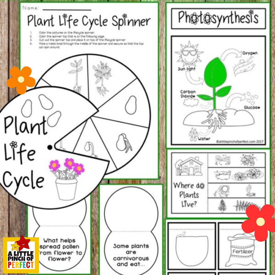 Plant Life Cycle & Photosynthesis Printable Pack | Science Activities ...