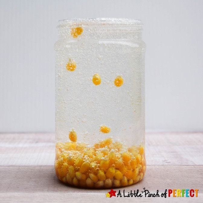 Dancing Corn Kids Science Experiment Activity Pack: Printable Do at ...