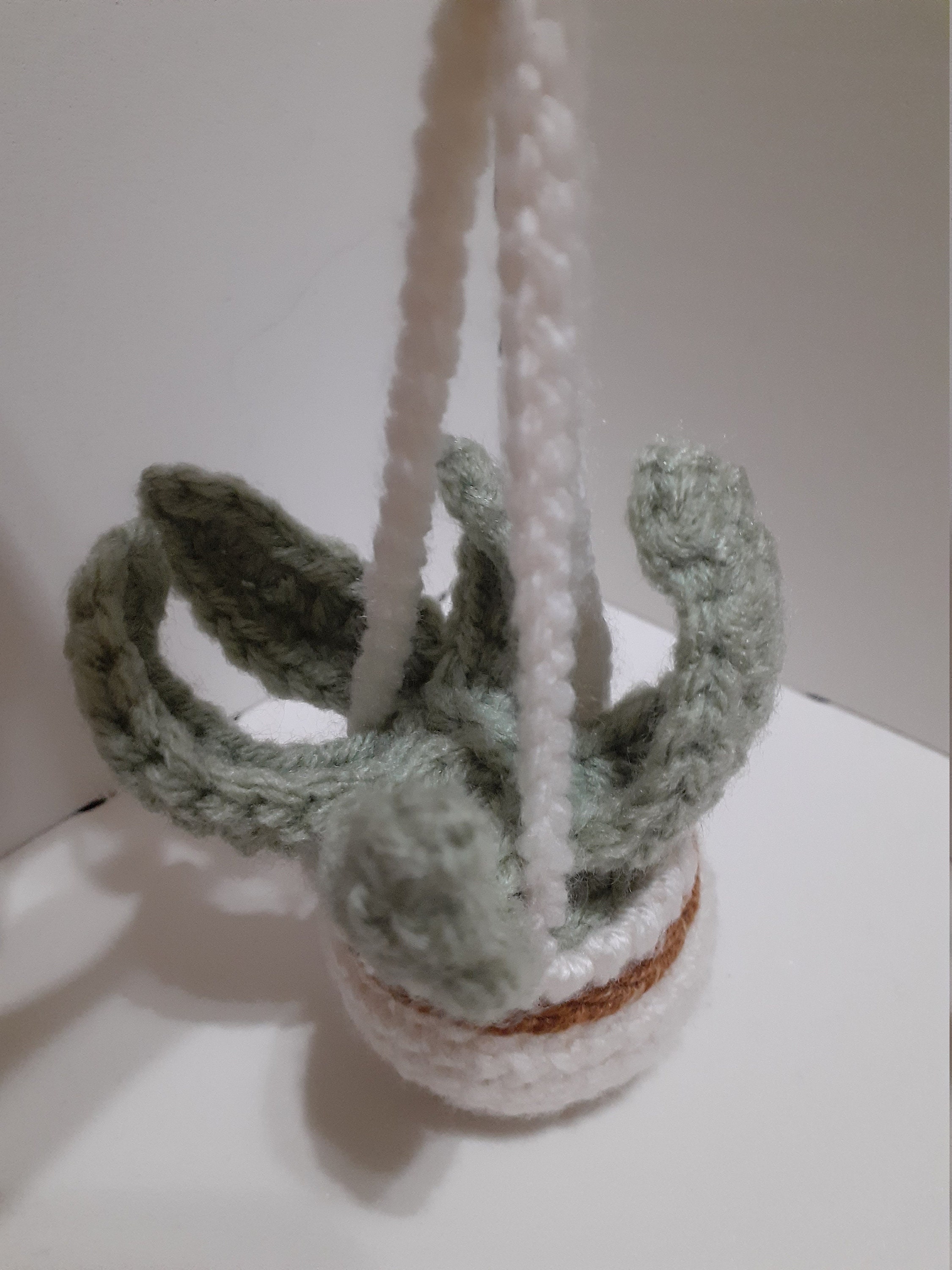MADE TO ORDER - Custom Crochet Hanging Plant Keychain - Etsy