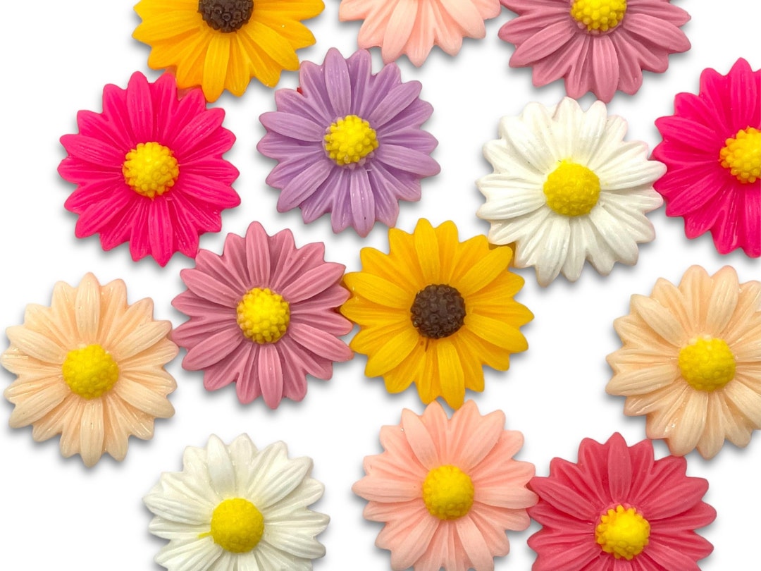 10pcs Colorful Flower Cabochons Large Flatback Resin Flowers Daisy ...