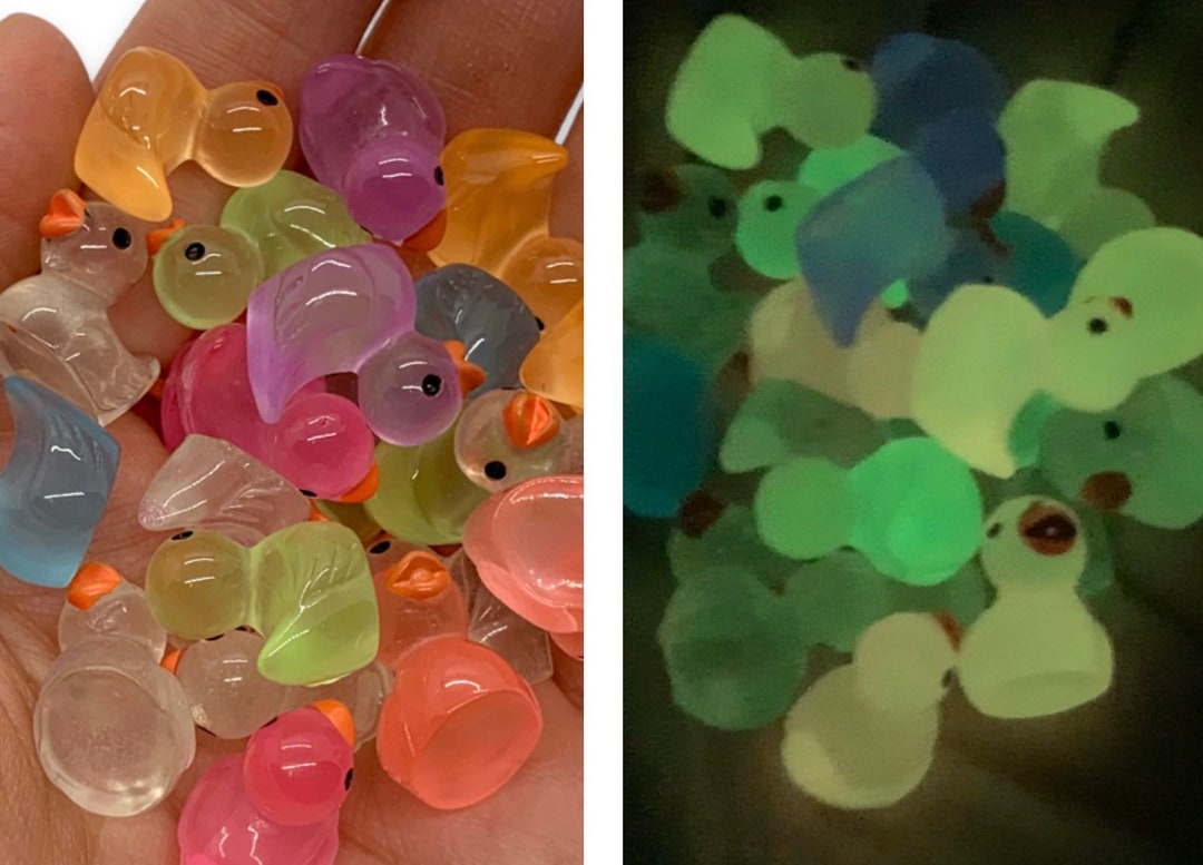 10pcs Glow in the Dark Miniature Resin Rubber Ducks Mini - Etsy