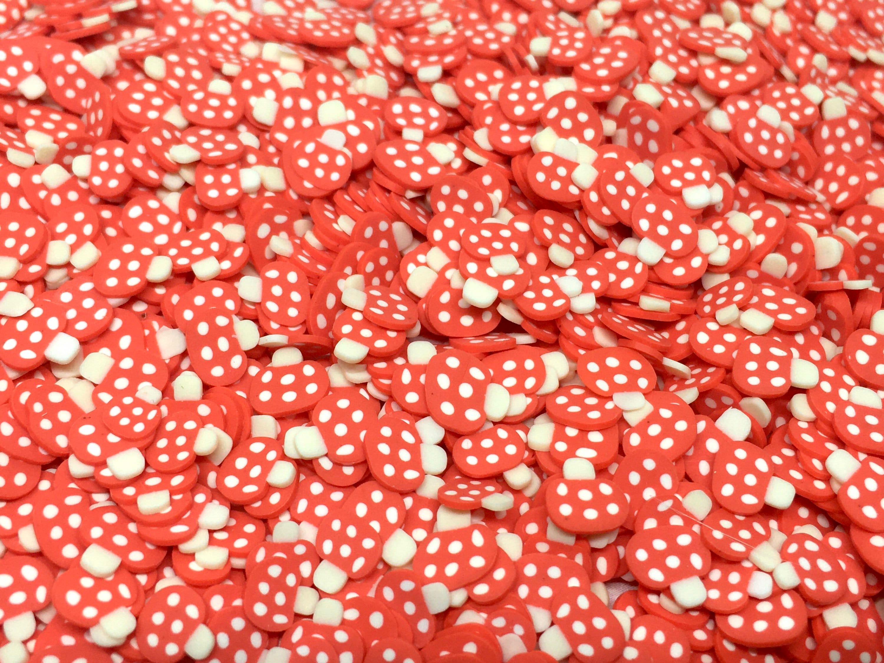 Mushroom Fimo Slices Polymer Clay Embellishments for Slime - Etsy