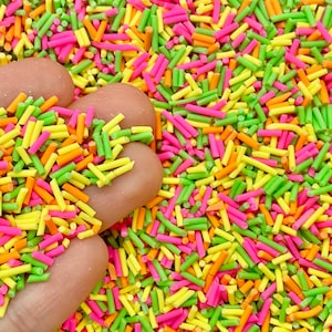 Summer Fun Fake Sprinkles for Slime or Decoden - Brightly Colored Clay ...