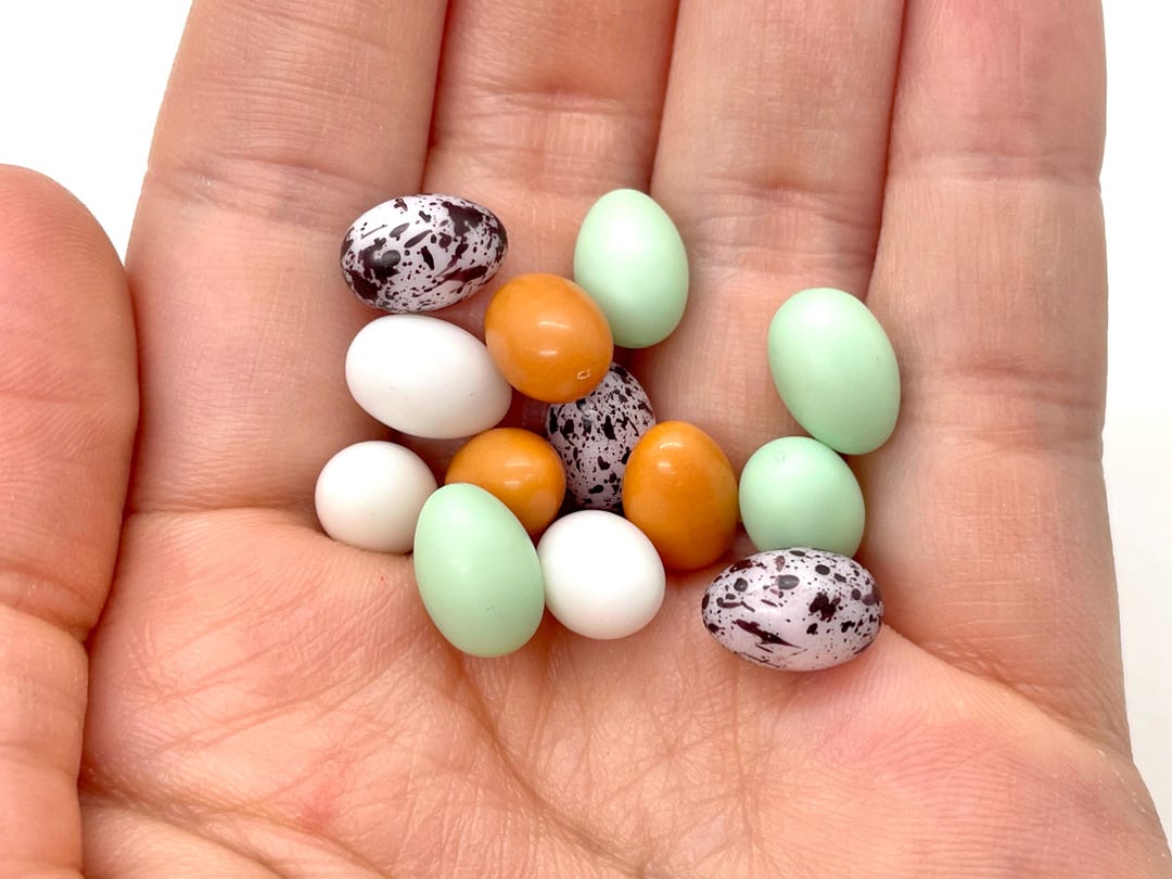 10pcs Miniature Resin Eggs - Cute Mini Bird Eggs for Dolls or Crafts - Etsy