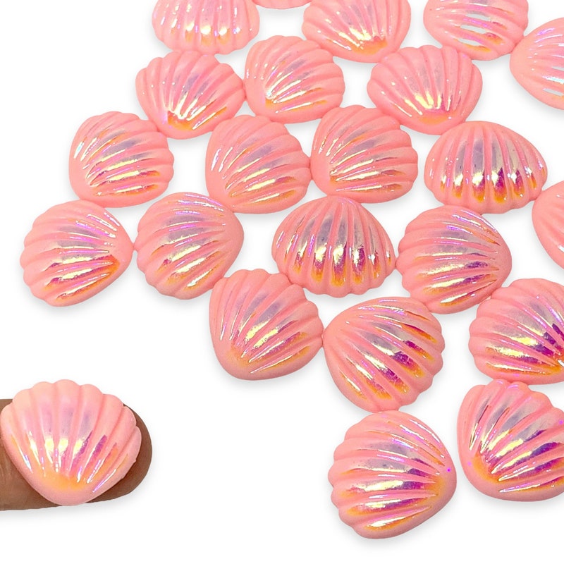 Pink Seashells - Etsy