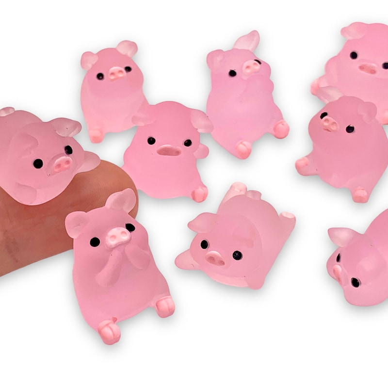 Mini Pig Supplies - Etsy
