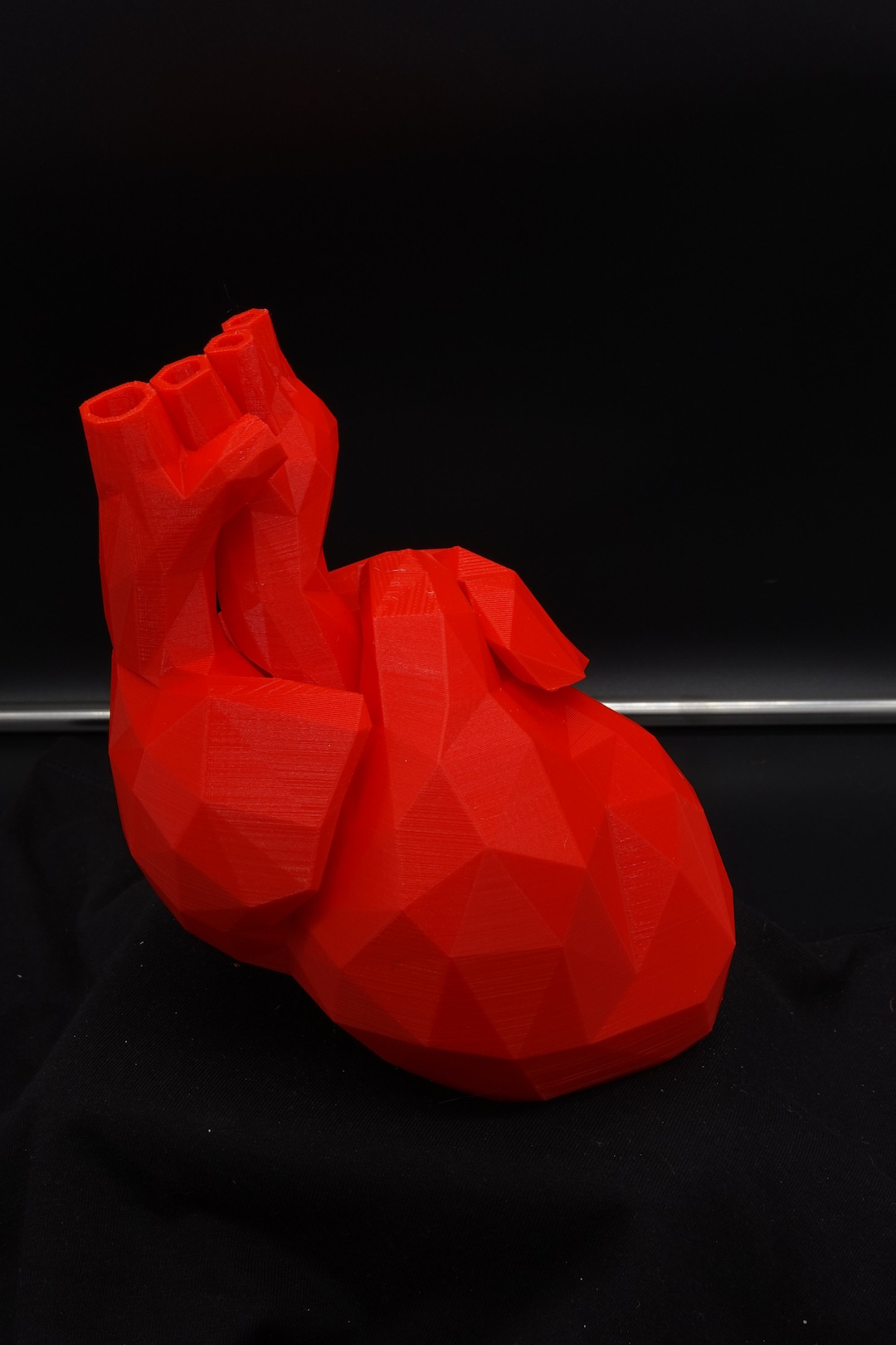 Heart Vase, Heart Flower Vase, Anatomical Heart Vase, Cardiologist ...