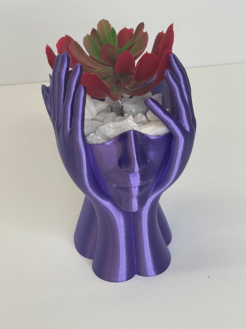 Hands on Face Succulent Planter Head Face Planter Face Pot - Etsy