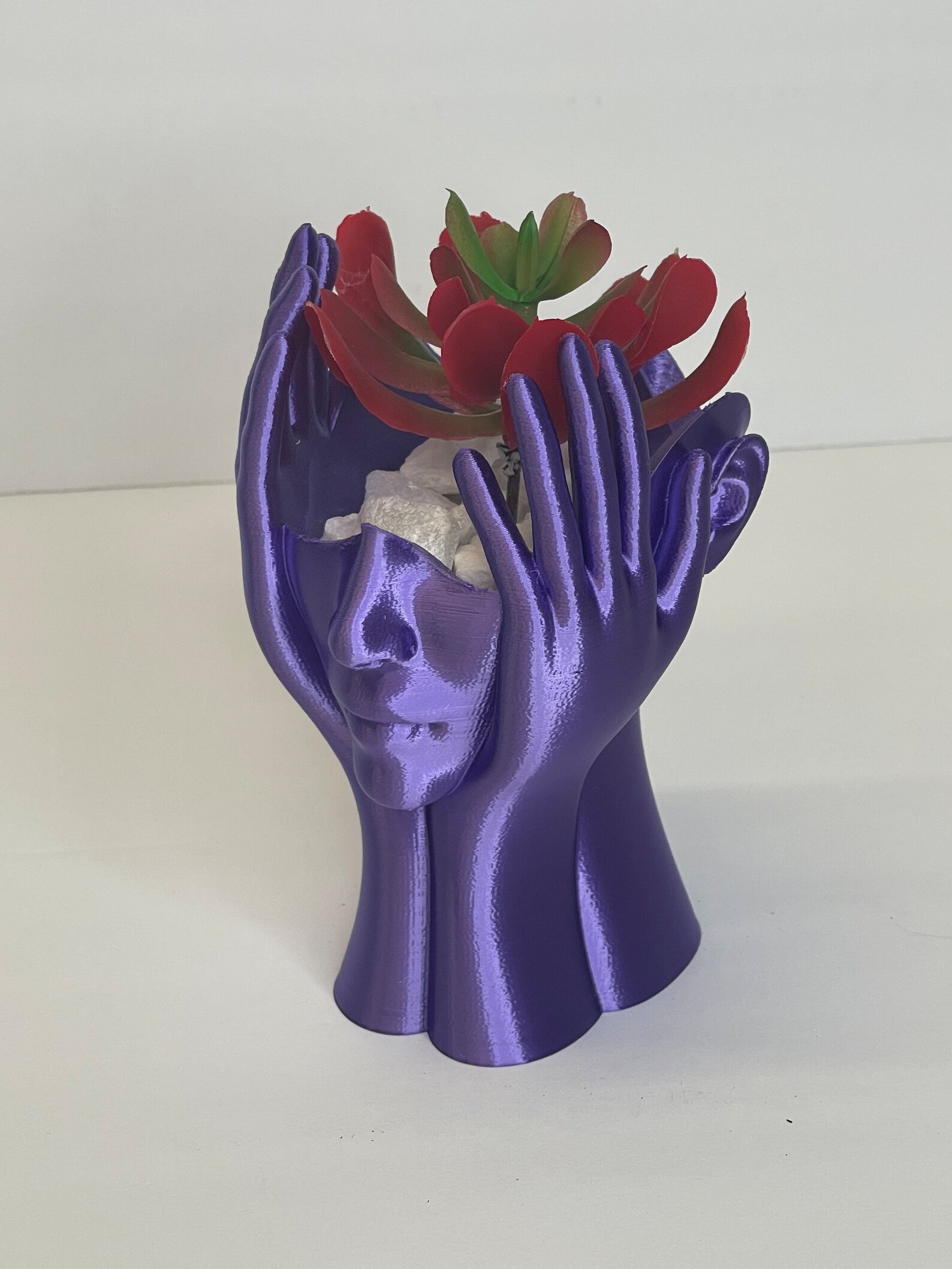 Hands on Face Succulent Planter Head Face Planter Face Pot - Etsy