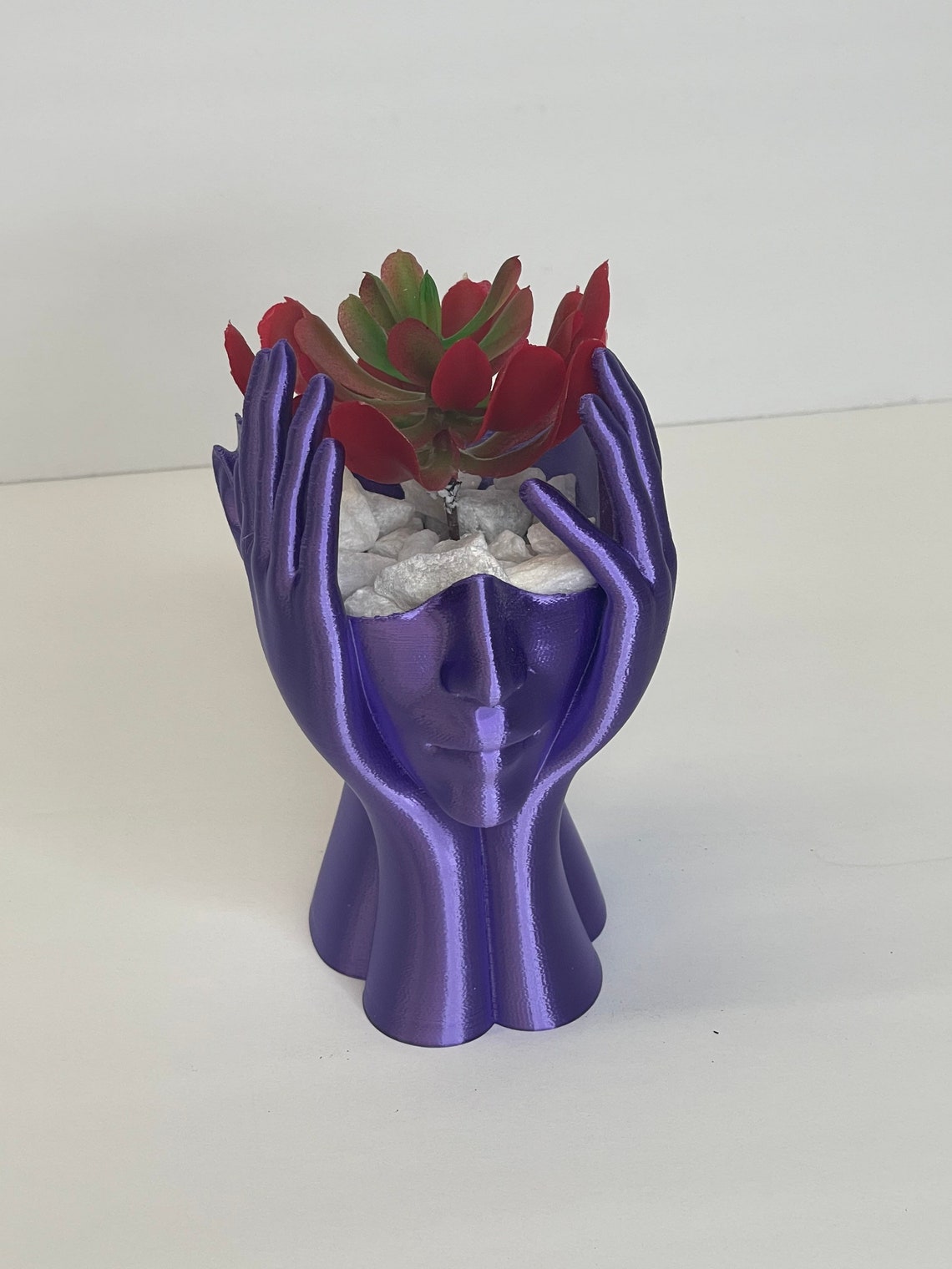 Hands on Face Succulent Planter Head Face Planter Face Pot - Etsy