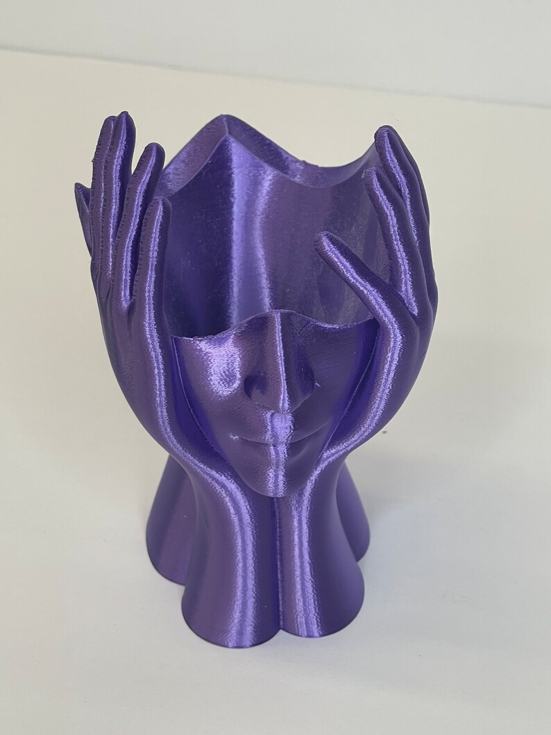 Hands on Face Succulent Planter Head Face Planter Face Pot - Etsy