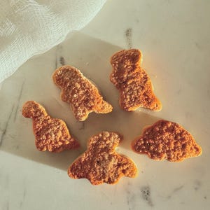 Dino Chicken Nugget Cookie Cutters- Set of 5 - Etsy