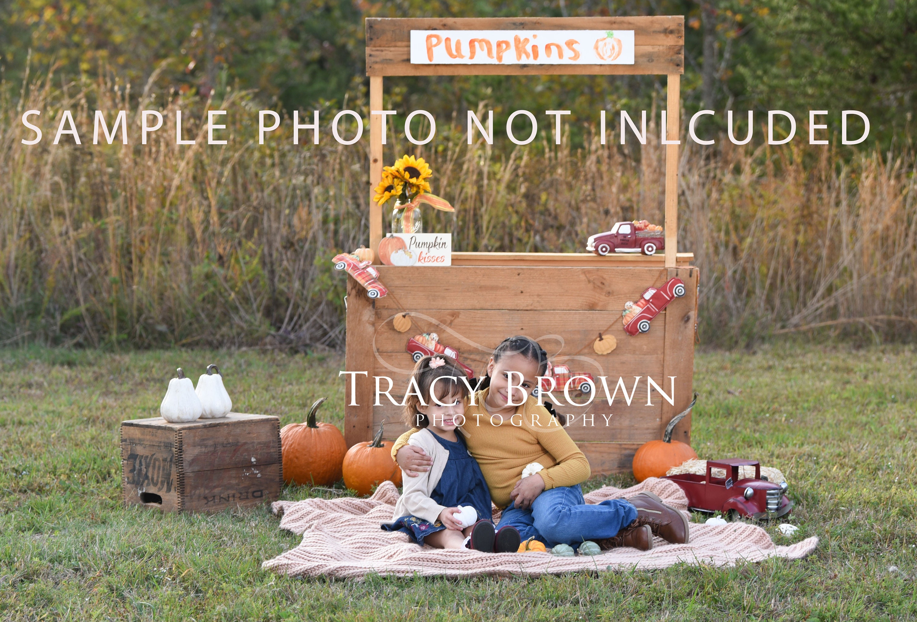 Pumpkin Booth Outdoor Setup Digital Backdrop for Composites - Etsy