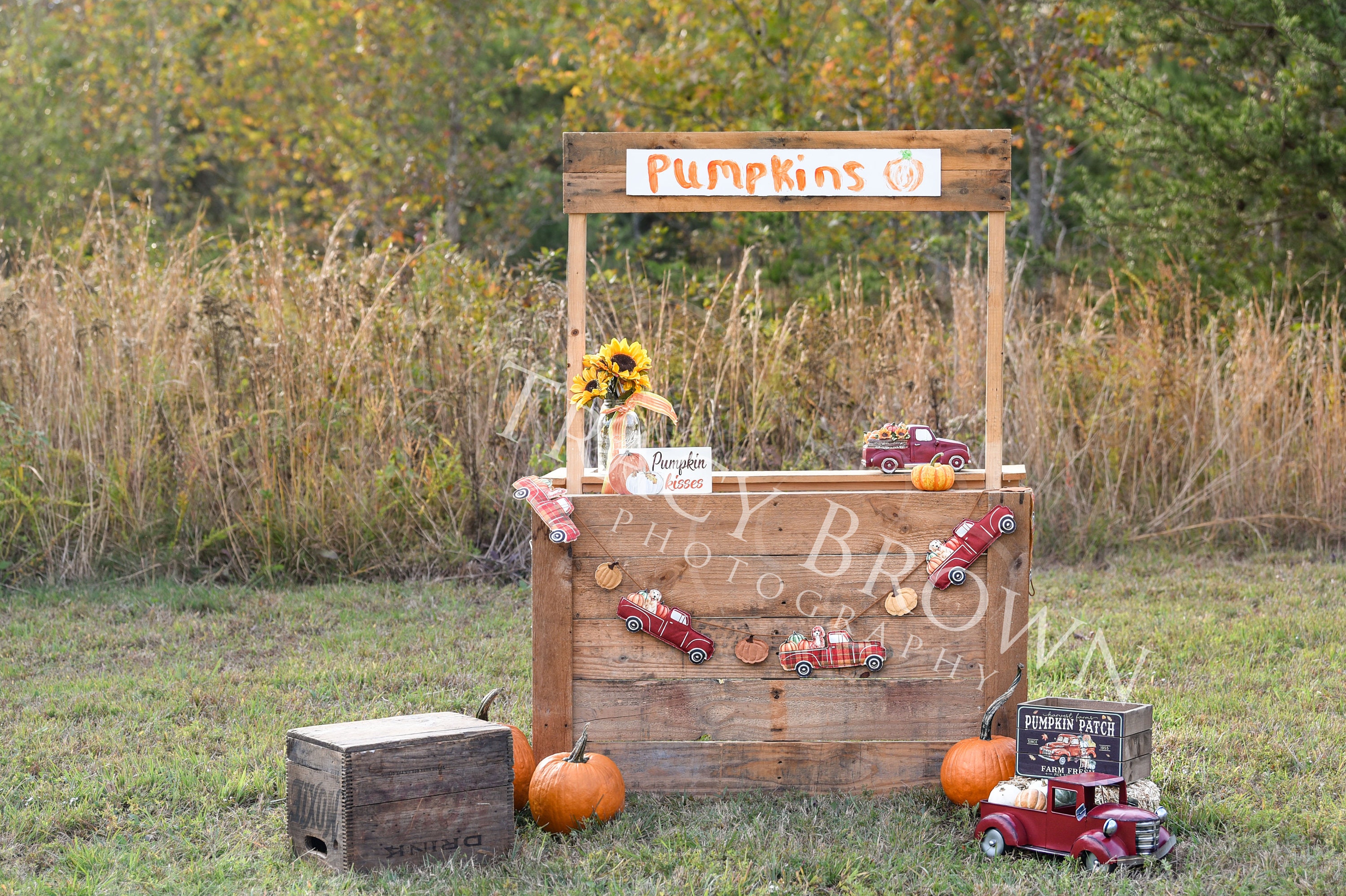 Pumpkin Booth Outdoor Setup Digital Backdrop for Composites - Etsy