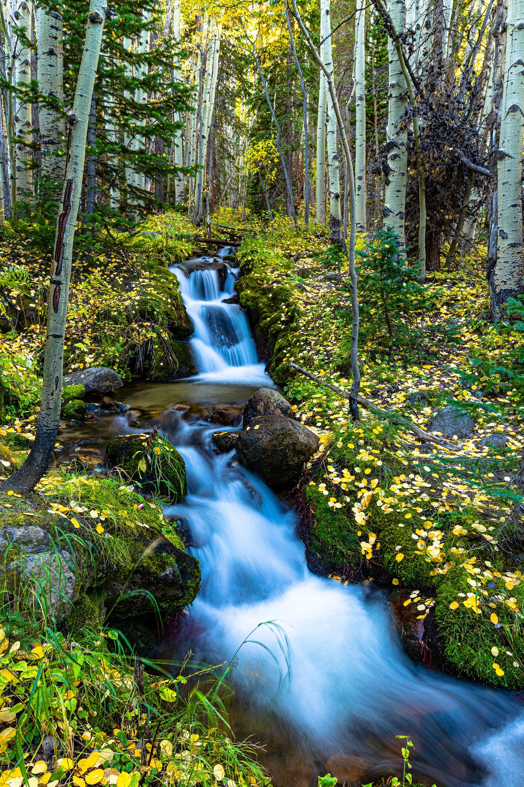 Digital Download of a Waterfall in Rocky Mountain National Park in ...
