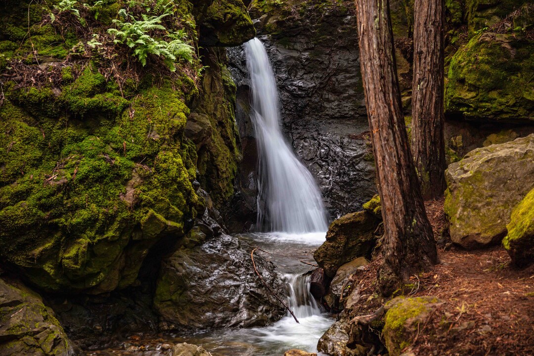 Cascade Falls Mill Valley - Etsy