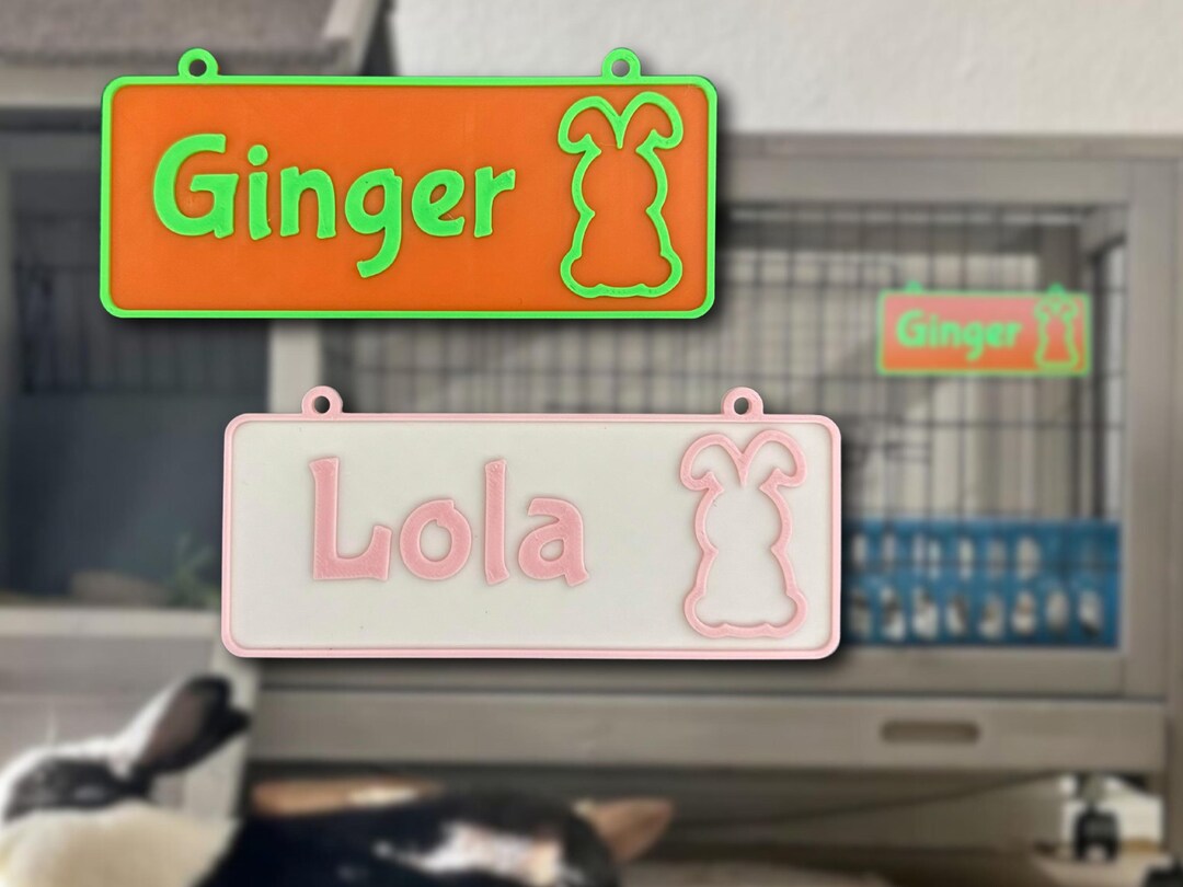 Personalized Rabbit Name Sign, Custom Cage Nameplate, Bunny Pet Tag ...