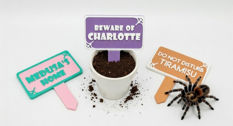 Personalized Spider Stake Name Sign, Custom Terrarium Decor - Etsy